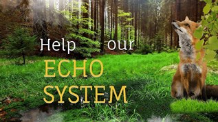 echo system at emaze Presentation