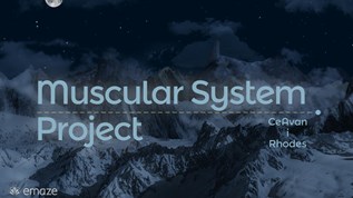Muscular System at emaze Presentation