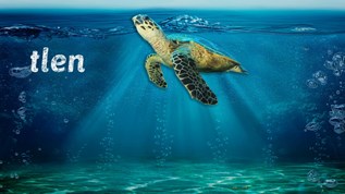 tlen at emaze Presentation