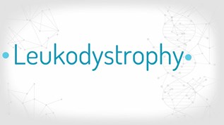 Leukodystrophy at emaze Presentation