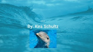 Kira Dolphins at emaze Presentation