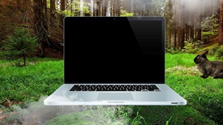 Eco-feminism at emaze Presentation