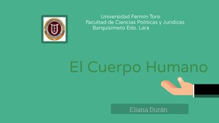 El Cuerpo Humano 2 At Emaze Presentation