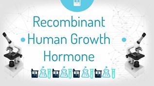 Recombinant Human Growth Hormone at emaze Presentation