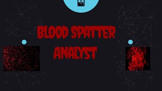 Blood Spatter Analyst at emaze Presentation