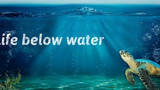 Life below water at emaze Presentation