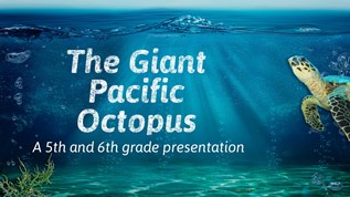 The Giant Pacific at emaze Presentation