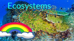 misha jones at emaze Presentation