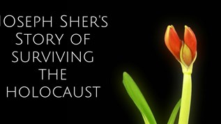 Joseph Sher's Story at emaze Presentation