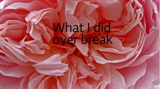 What I did over break at emaze Presentation