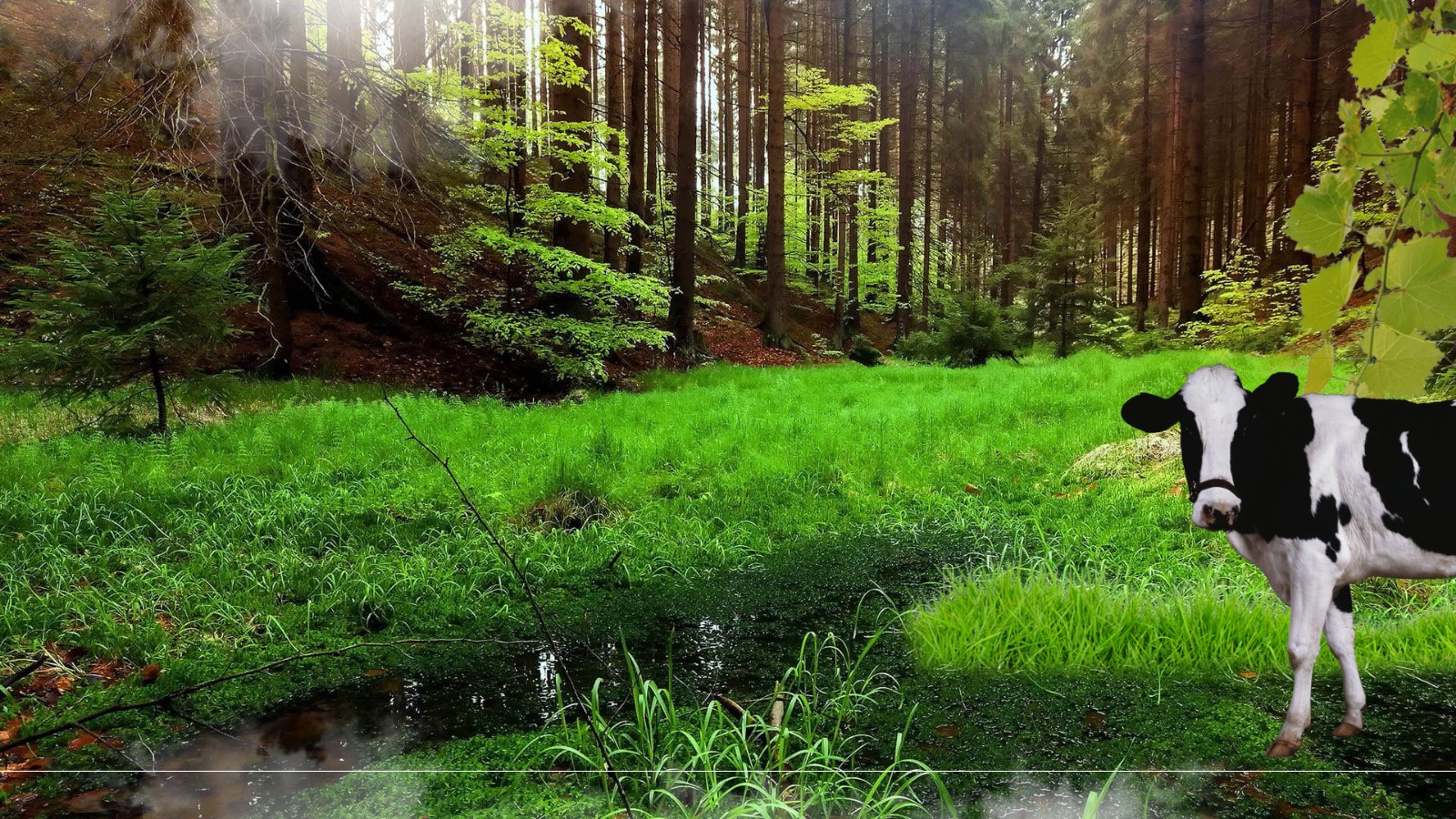 DARVINIZAM; Biologija on emaze