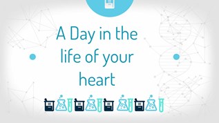 Heartrate science project at emaze Presentation