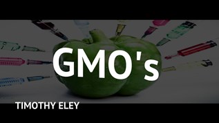 GMO'sTimothy Eley at emaze Presentation