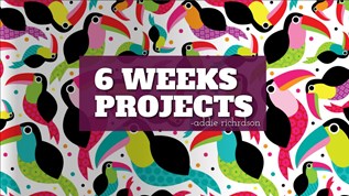 6 weeks projects at emaze Presentation