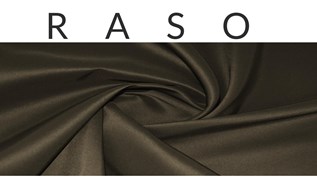 RASO at emaze Presentation