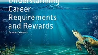 Understanding Career Requirements and Rewards at emaze Presentation