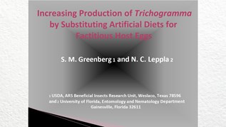 Untitled at emaze Presentation