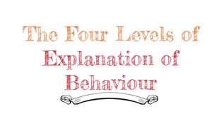 Levels of Explanation at emaze Presentation