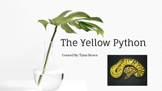 The Yellow Python at emaze Presentation
