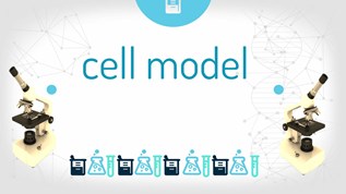 cell model at emaze Presentation