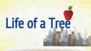 The Life of a Tree at emaze Presentation