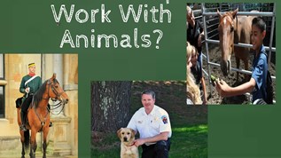 How Do People Work With Animals 4.5 at emaze Presentation