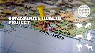 Community Health Project Inst. at emaze Presentation