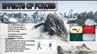 Effects of Forces at emaze Presentation