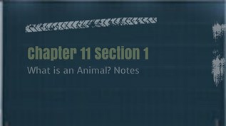 Chapter 11 Section 1 at emaze Presentation