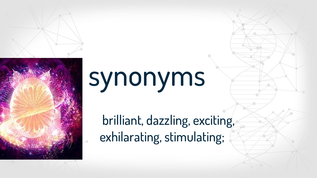 scintillating on emaze