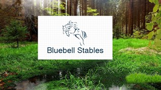 Bluebell Stables at emaze Presentation