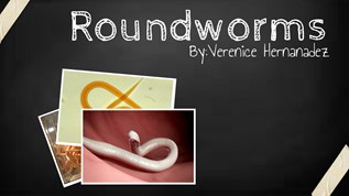 Roundworms at emaze Presentation