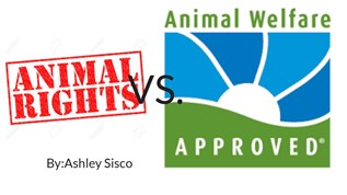 Animal Rights vs. Animal Welfare at emaze Presentation