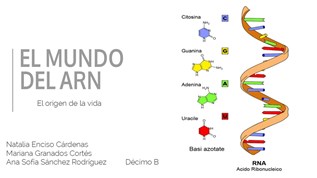 El mundo del arn at emaze Presentation