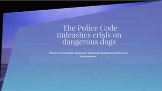 The Police Code at emaze Presentation