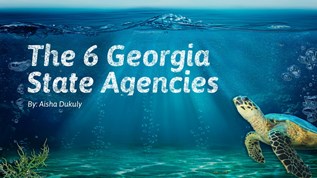 The 6 Georgia State Agencies at emaze Presentation