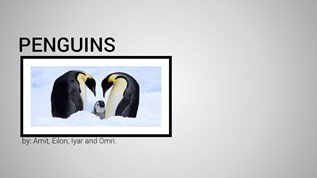 Penguins English Work At Emaze Presentation