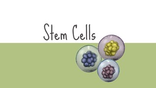 Stem Cells at emaze Presentation