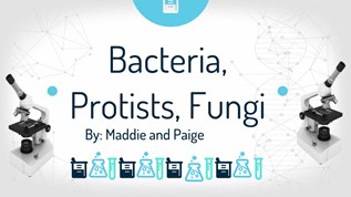 Bacteria, Protists, and Fungi at emaze Presentation