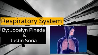 Respiratory System at emaze Presentation