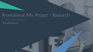 Promotional Mix Project at emaze Presentation