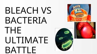 Bleach vs bacteria at emaze Presentation