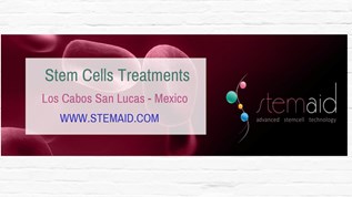Stem Cells at emaze Presentation