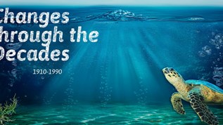 Changes through the decades at emaze Presentation