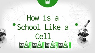 cell organelles copy1 at emaze Presentation