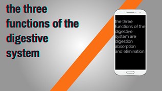 the three functions at emaze Presentation