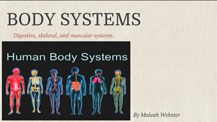 Body Systems at emaze Presentation