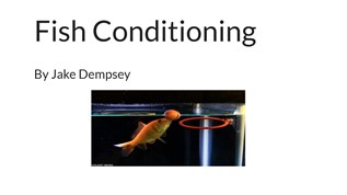 Fish Conditioning at emaze Presentation