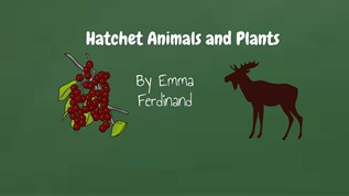 Hatchet Animals and Plants at emaze Presentation
