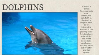 Samprit at emaze Presentation